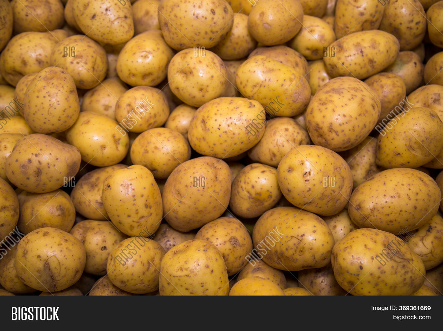 White Potatoes Washed Image & Photo (Free Trial) | Bigstock