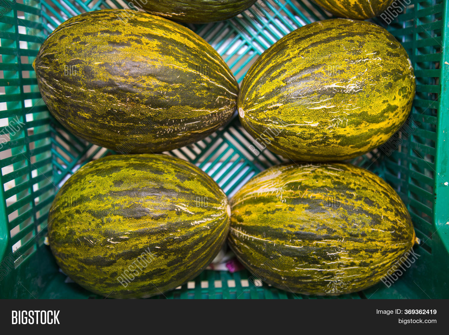 Melon Piel De Sapo Image & Photo (Free Trial) | Bigstock