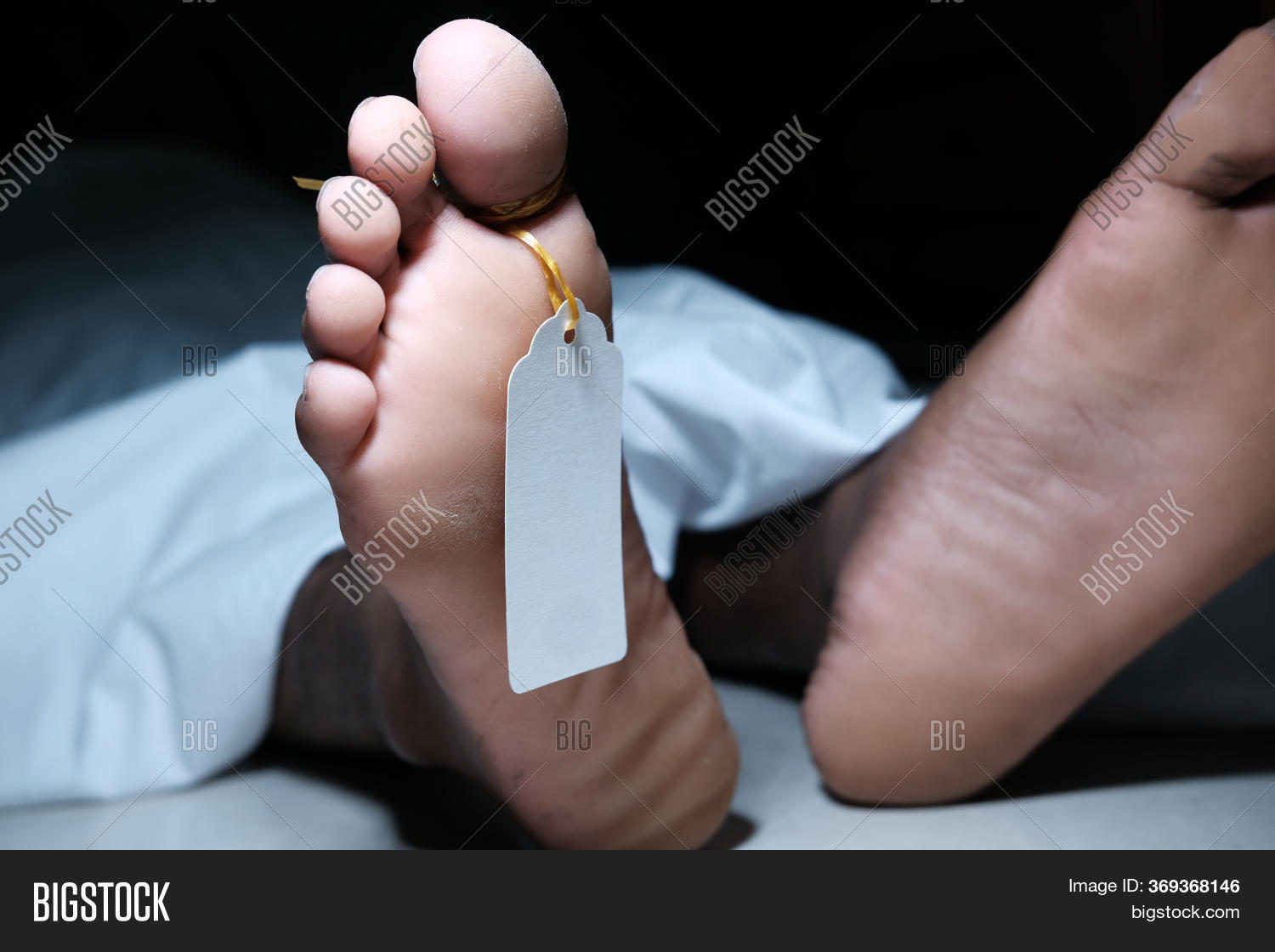 Two Feet Dead Body Tag Image & Photo (Free Trial) | Bigstock