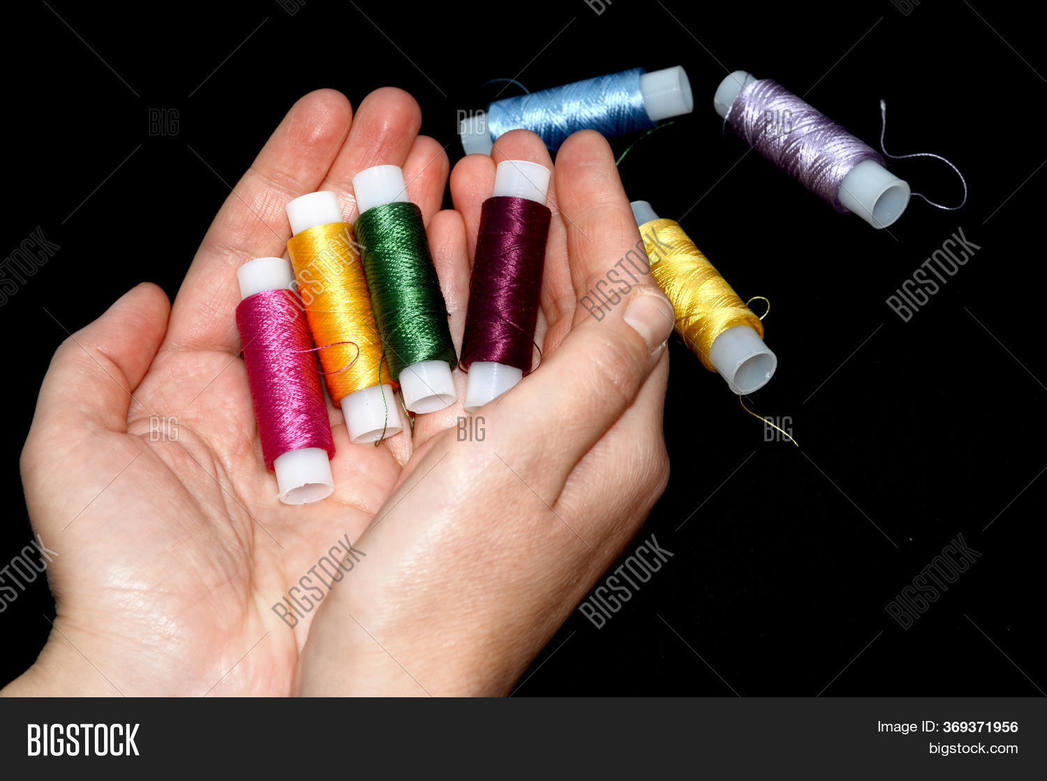 Female Hands Hold Image & Photo (Free Trial) | Bigstock