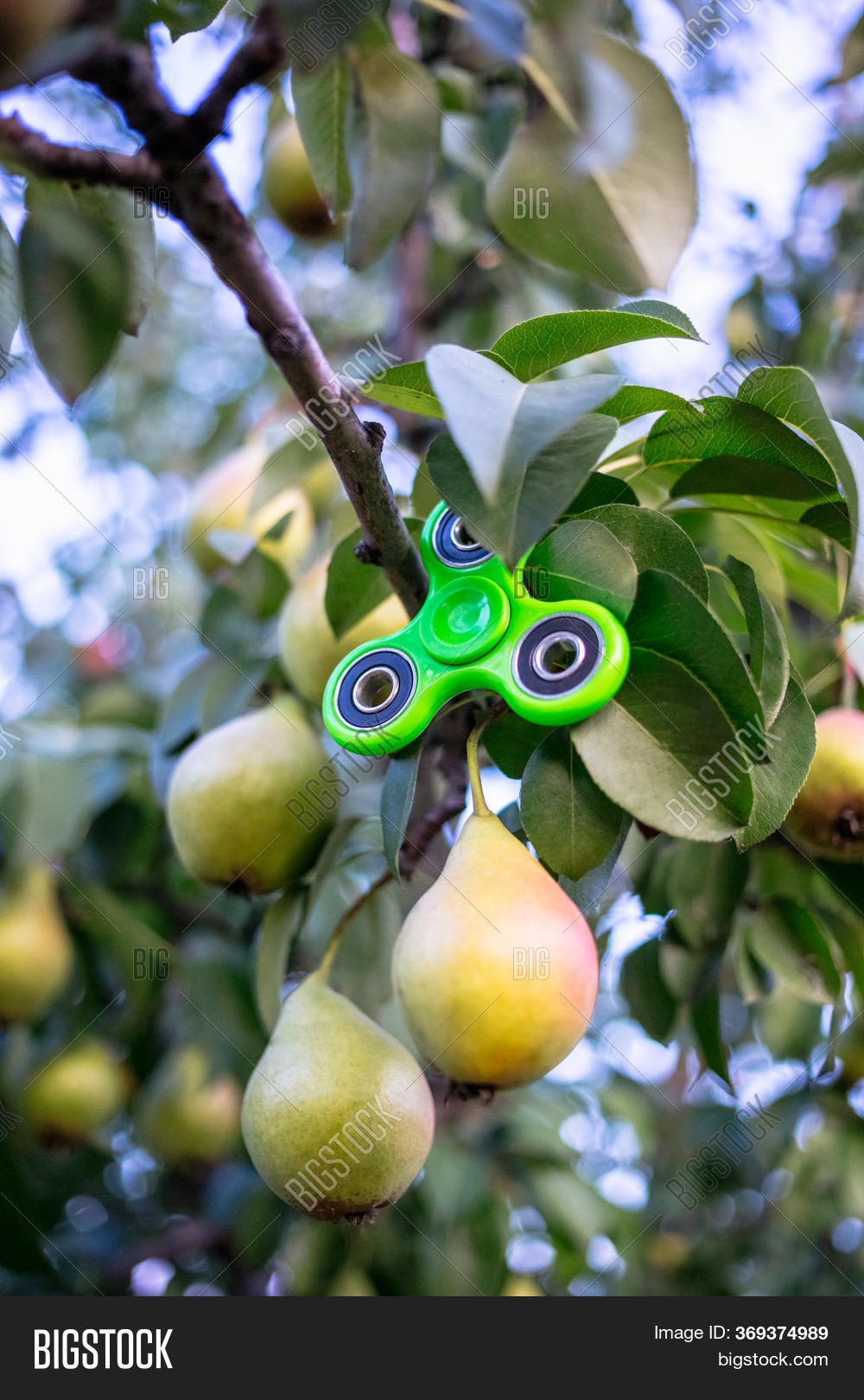 Green Fidget Spinner Image & Photo (Free Trial) | Bigstock