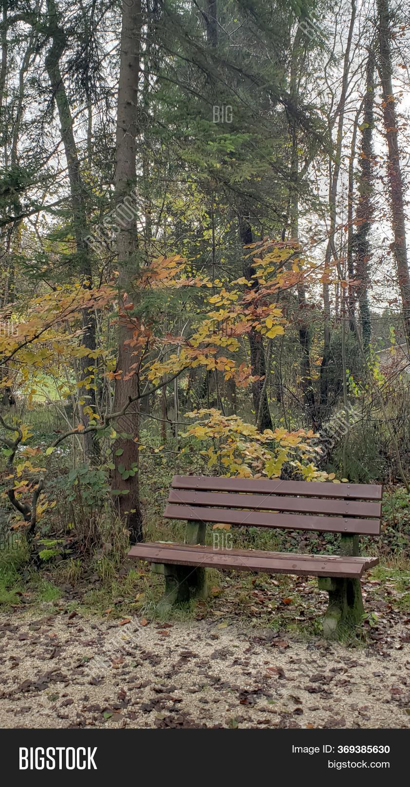 Landscape Temperate Image & Photo (Free Trial) | Bigstock