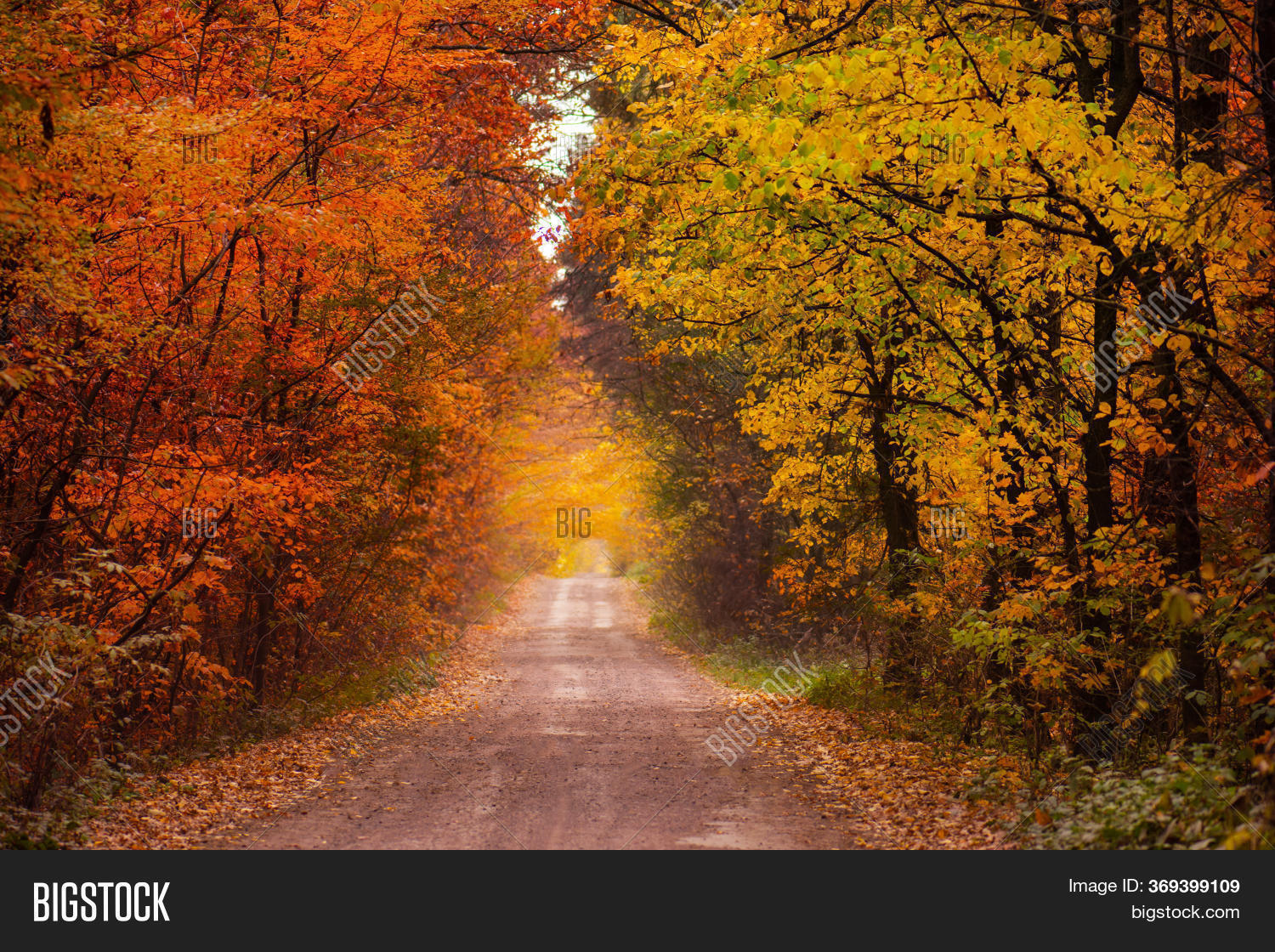 Amazing Natural Autumn Image & Photo (Free Trial) | Bigstock