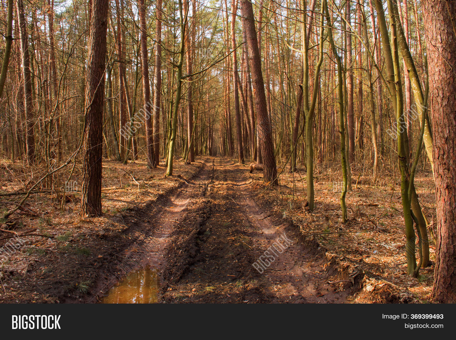 Autumn Horizontal Image & Photo (Free Trial) | Bigstock