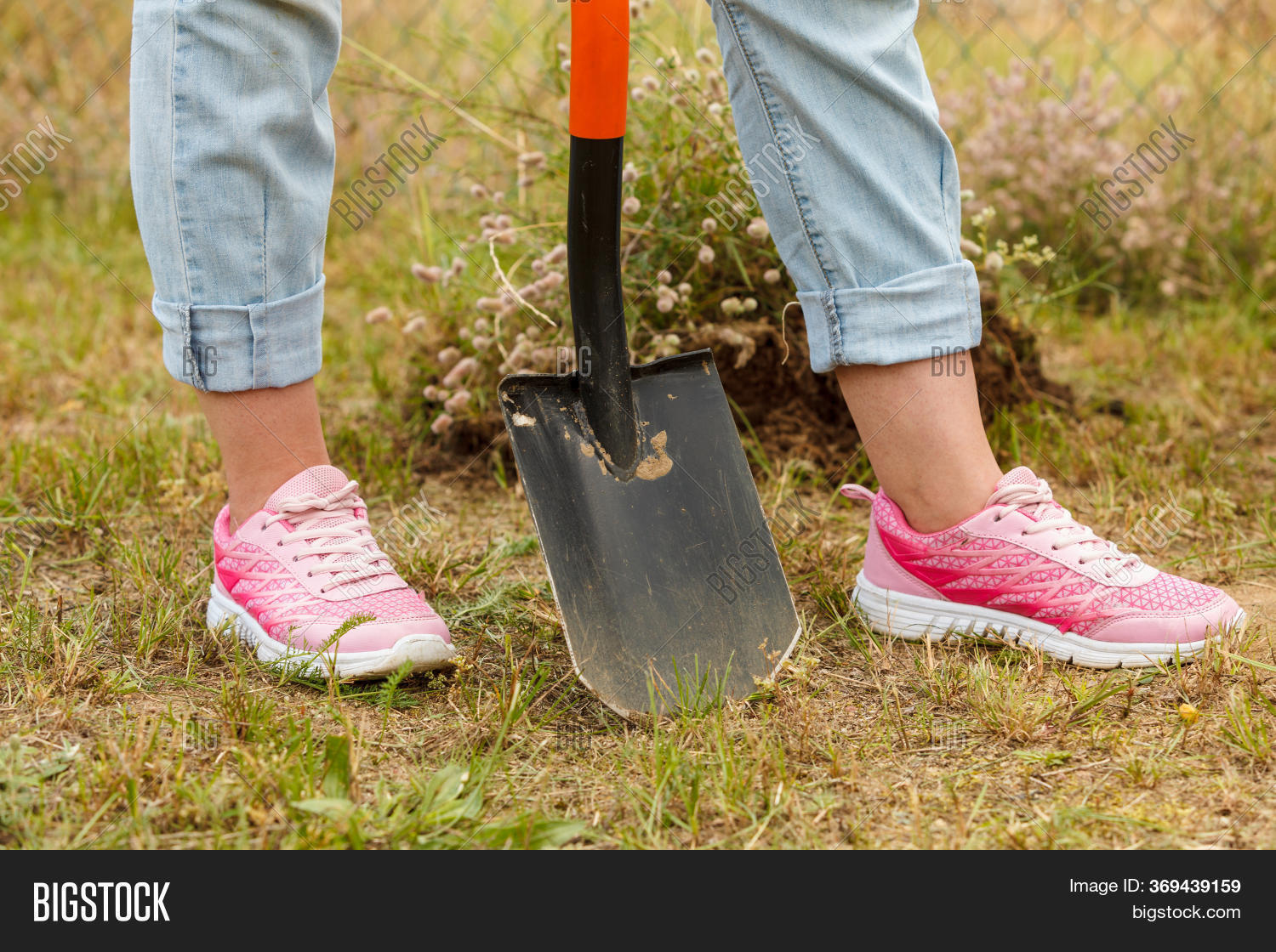 Woman Gardener Digging Image & Photo (Free Trial) | Bigstock