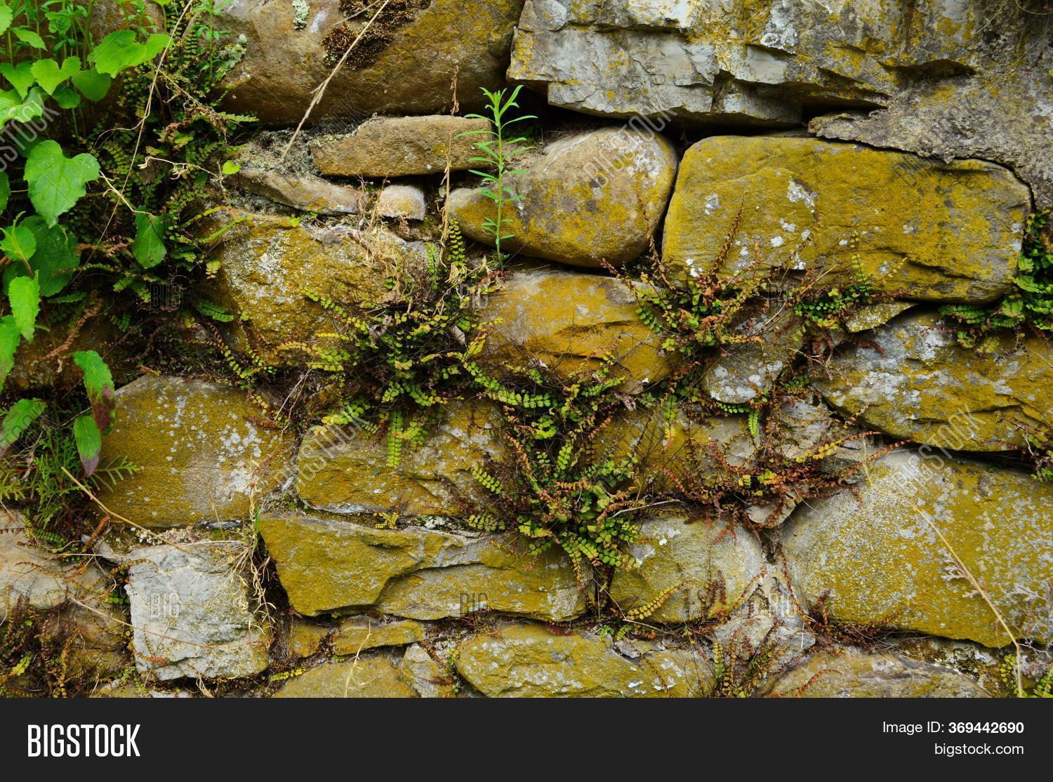 Vintage Crooked Wall Image & Photo (Free Trial) | Bigstock