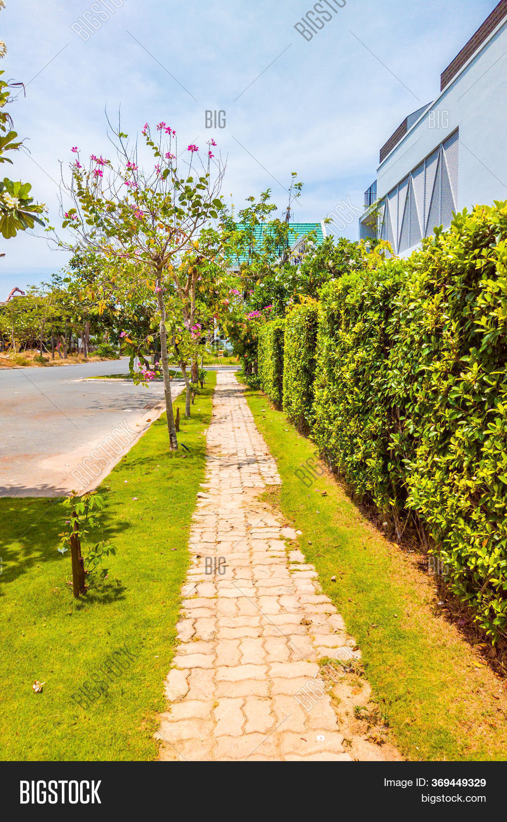 Beautiful View Image & Photo (Free Trial) | Bigstock