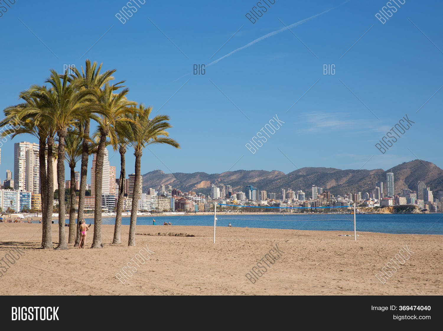Palm Trees Benidorm Image & Photo (Free Trial) | Bigstock
