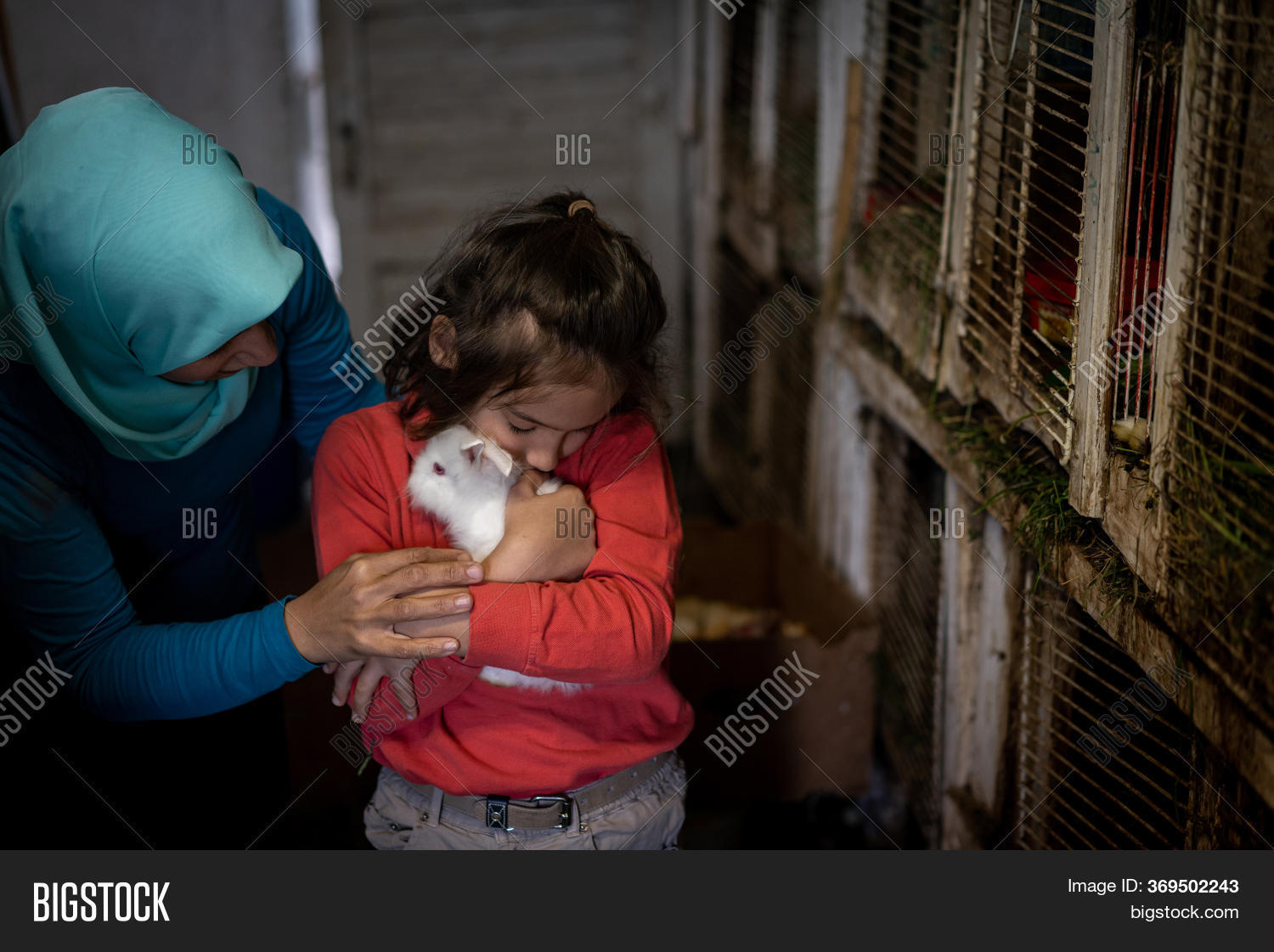Taking Care Rabbits On Image & Photo (Free Trial) | Bigstock