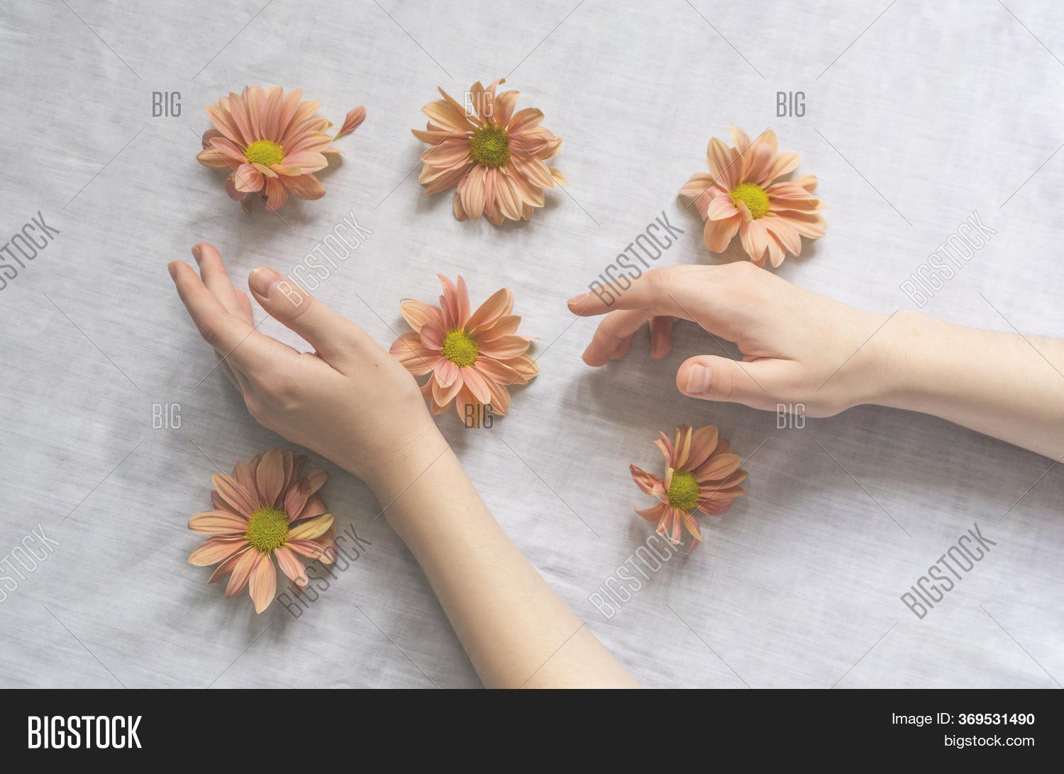 Hands Beautiful Woman Image & Photo (Free Trial) | Bigstock