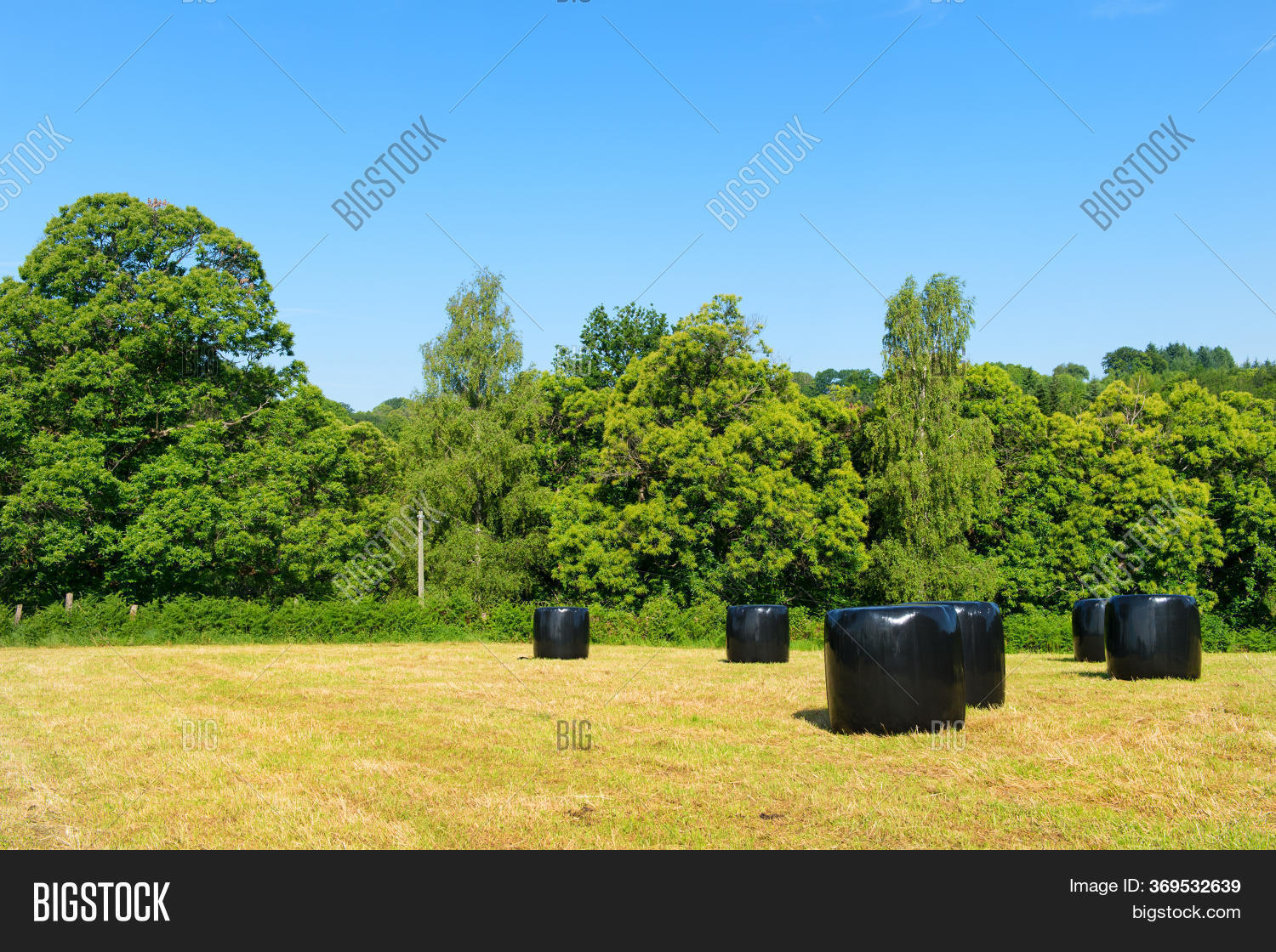 Wrapped Hay Bales Image & Photo (Free Trial) | Bigstock