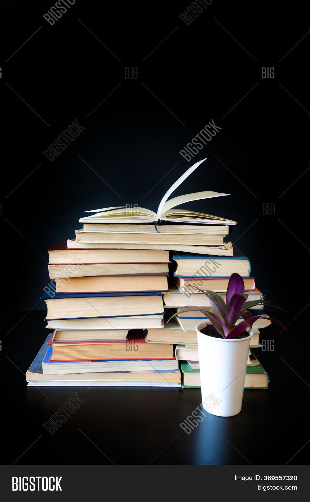 Stack Old Book Pot Image & Photo (Free Trial) | Bigstock