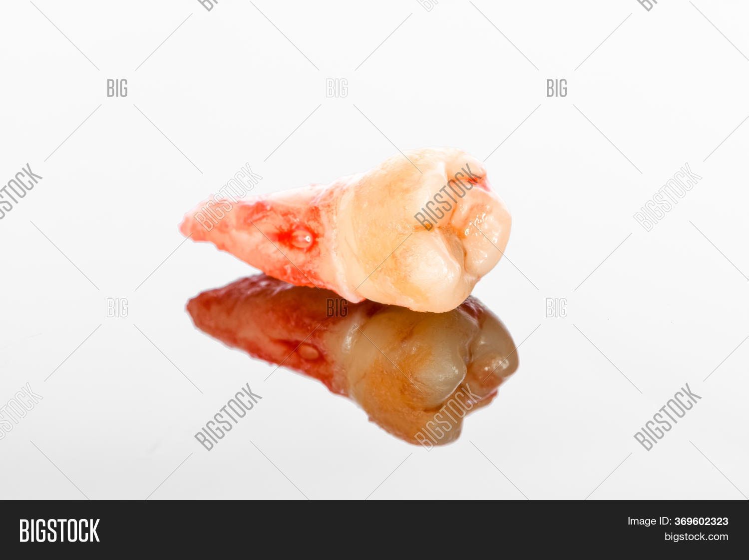 Horizontal Color Image Image & Photo (Free Trial) | Bigstock