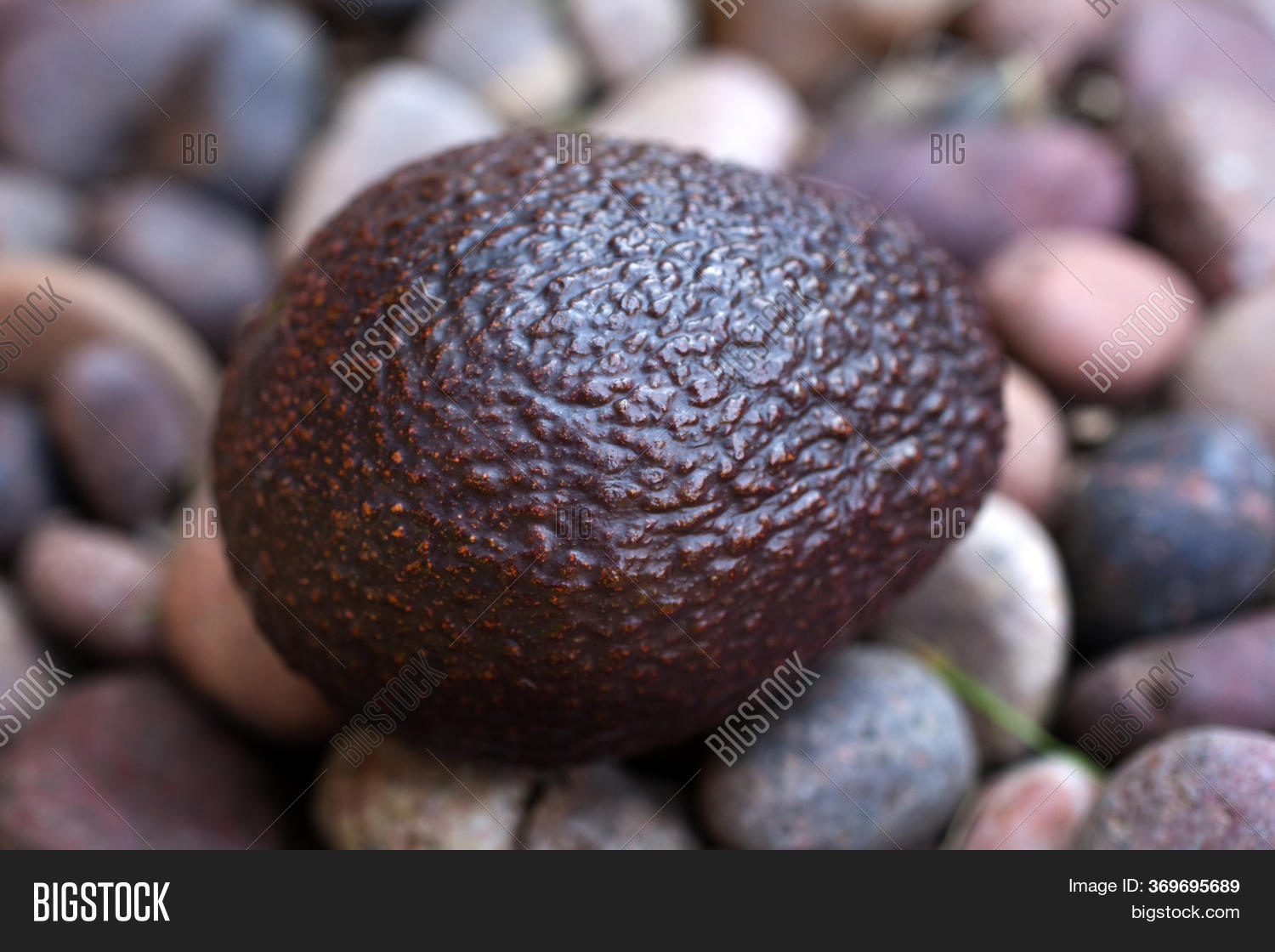 Ripe Avocado Image & Photo (Free Trial) | Bigstock