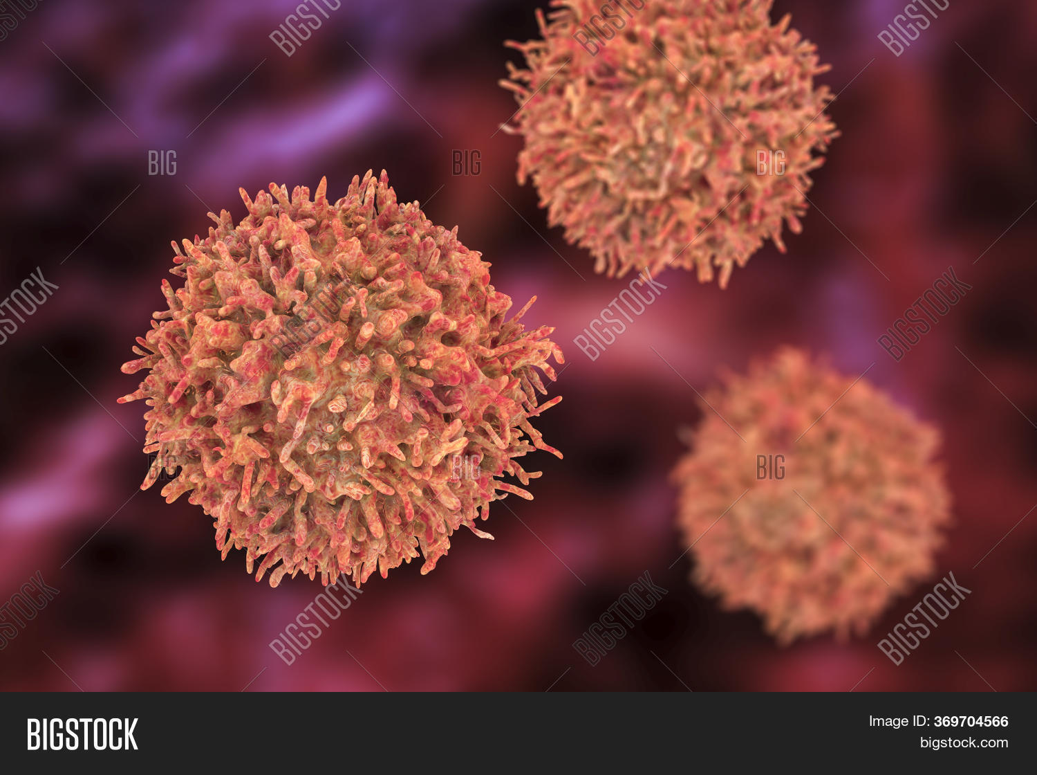B-lymphocyte, B-cell, Image & Photo (Free Trial) | Bigstock
