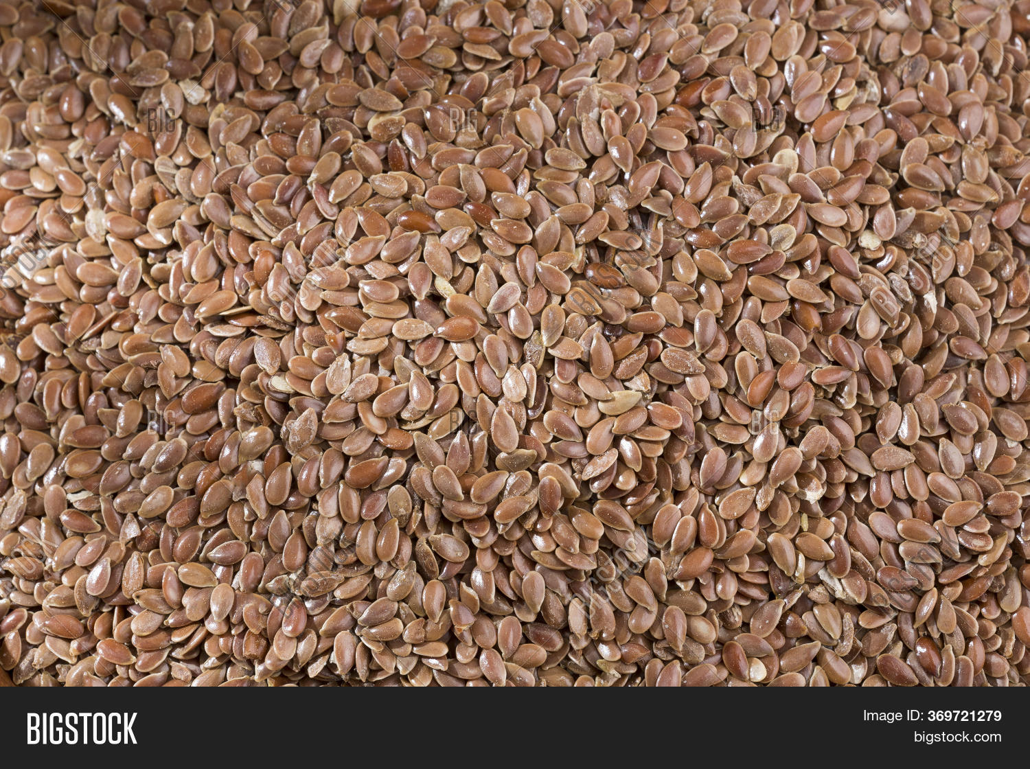 Linseed Organic Seeds Image & Photo (Free Trial) | Bigstock