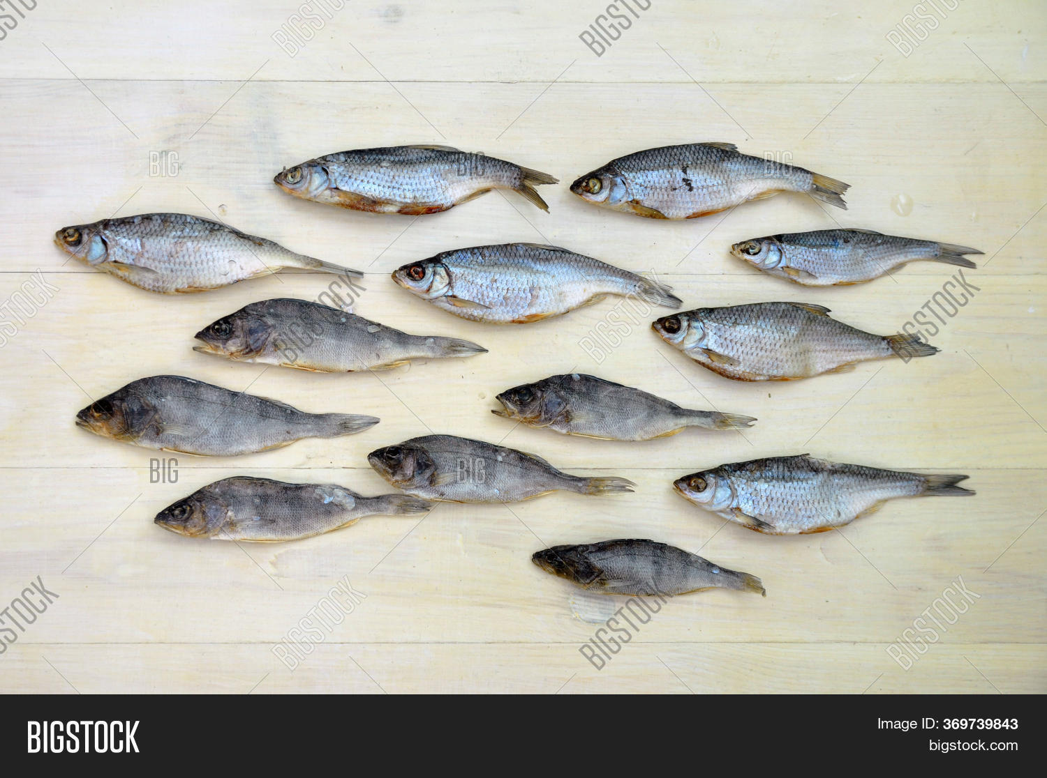 Lined Dried Fish Image & Photo (Free Trial) | Bigstock