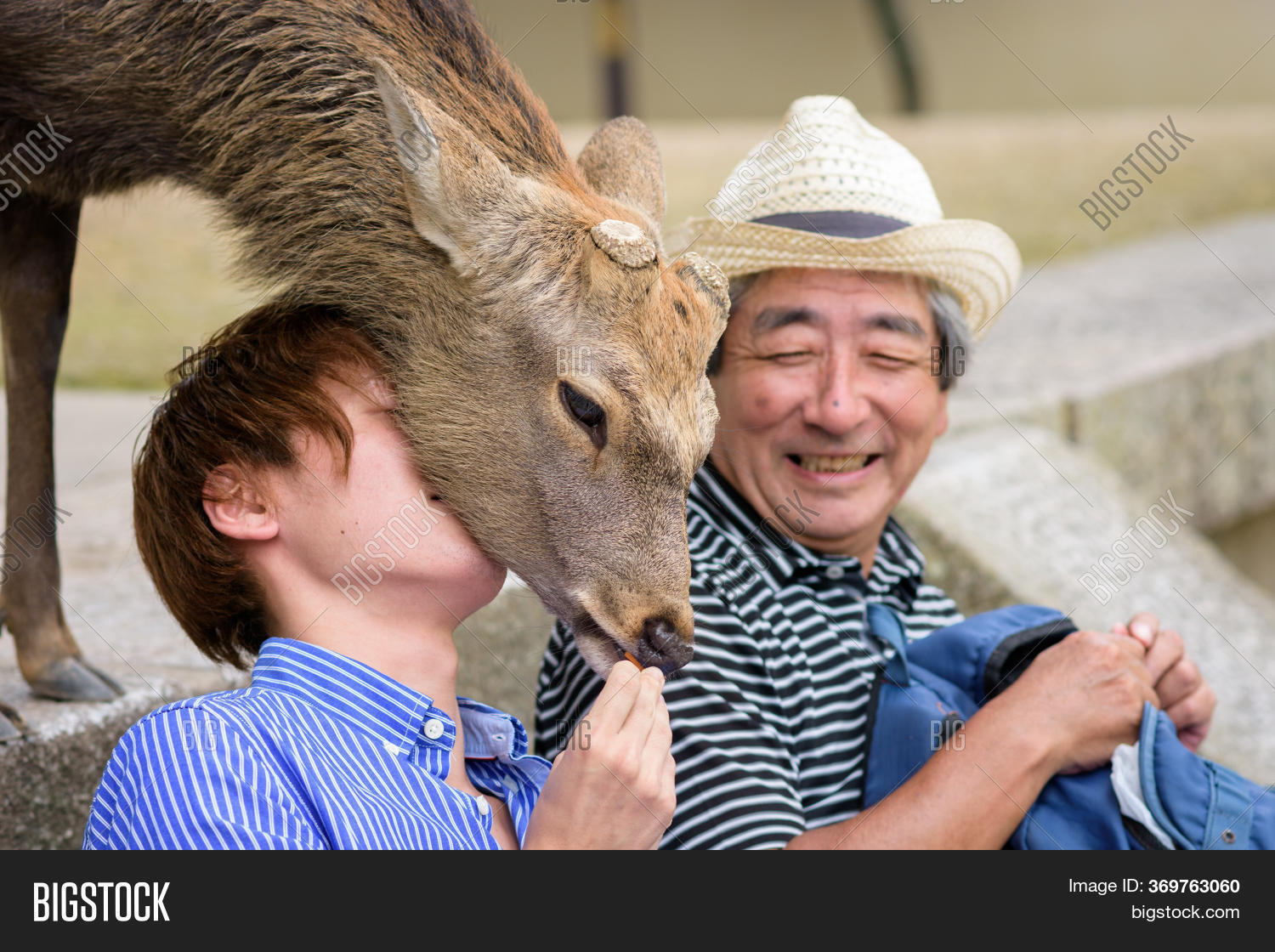 Nara / Japan - October Image & Photo (Free Trial) | Bigstock