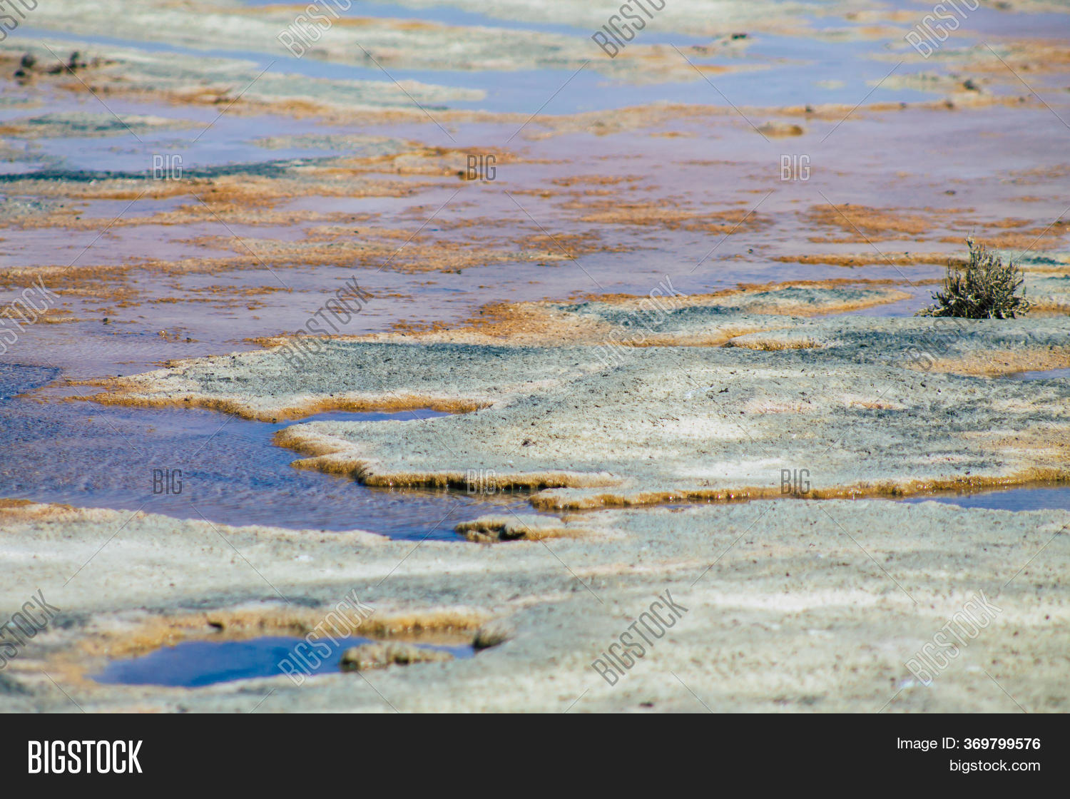 Limassol Cyprus June Image & Photo (Free Trial) | Bigstock