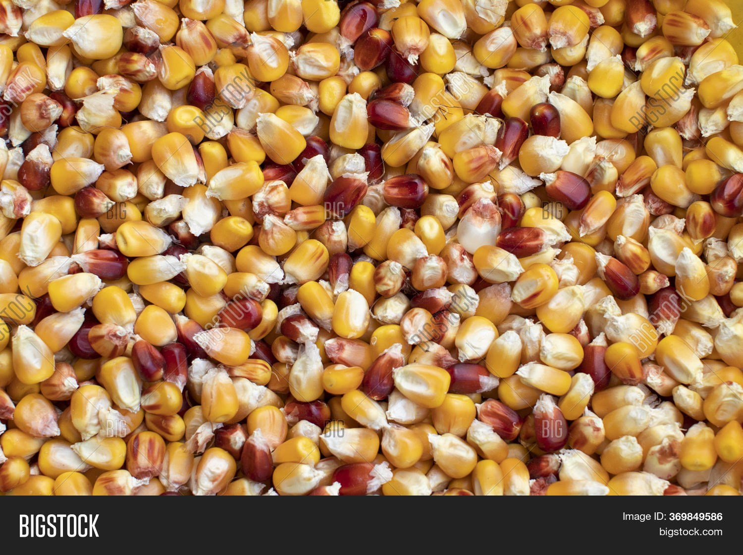 Texture Corn Beans. Image & Photo (Free Trial) | Bigstock
