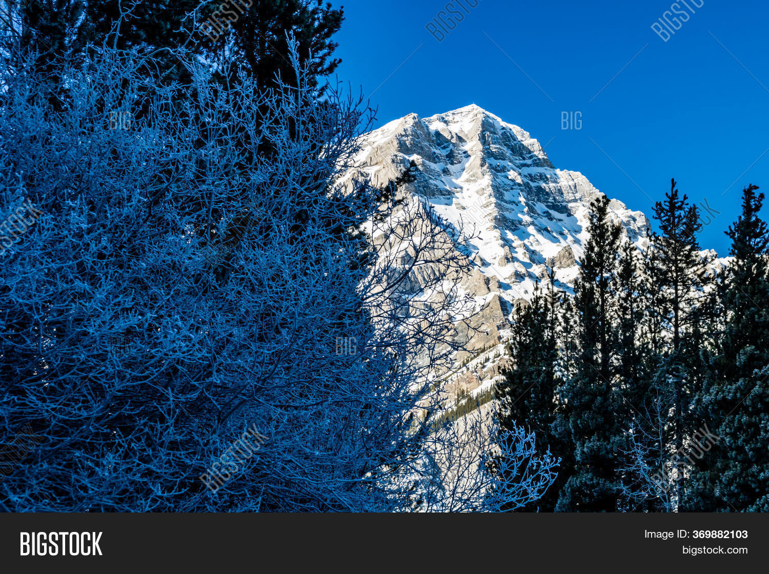 Winter Wedge Pond. Image & Photo (Free Trial) | Bigstock