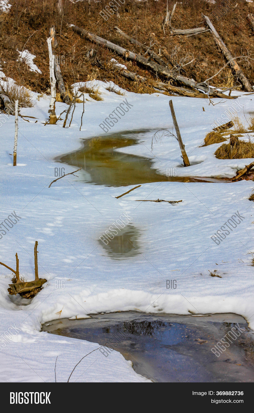 Light Snow Fall Image & Photo (Free Trial) | Bigstock