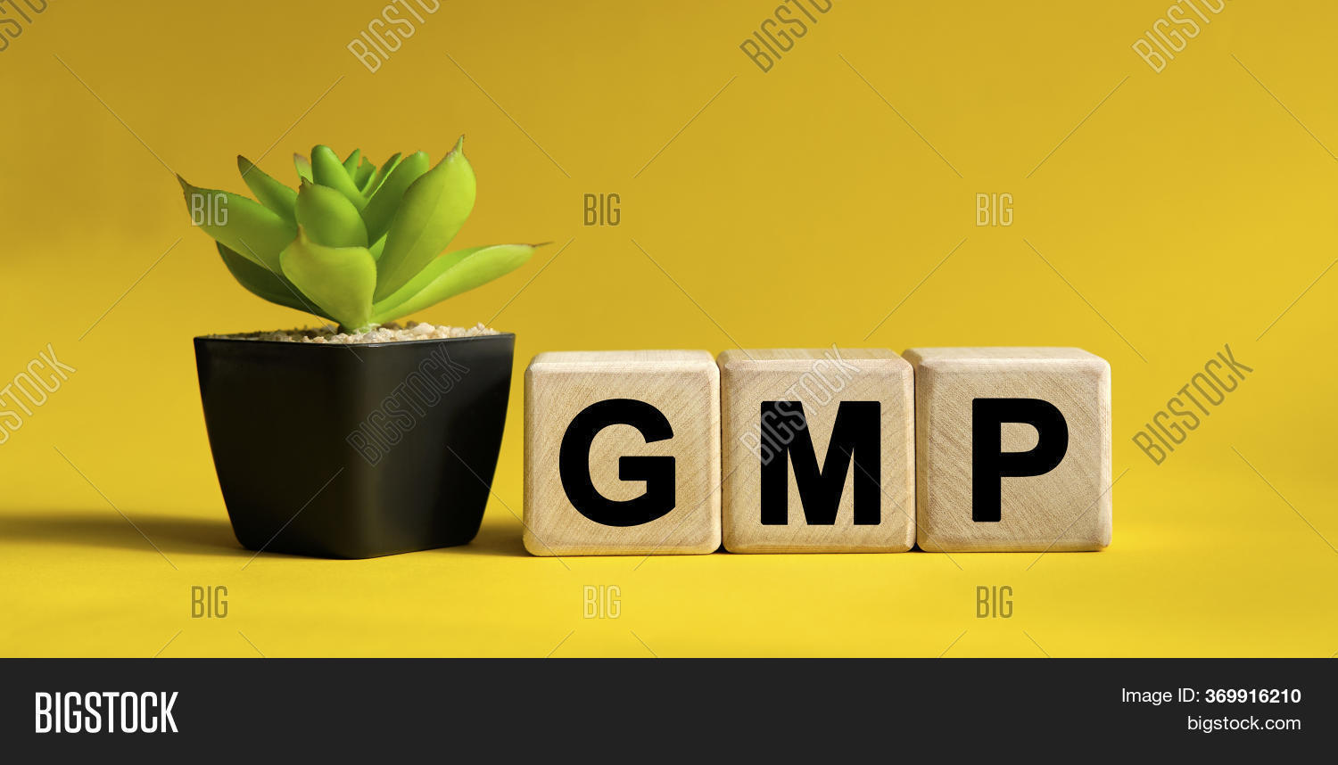 Gmp - Business Image & Photo (Free Trial) | Bigstock