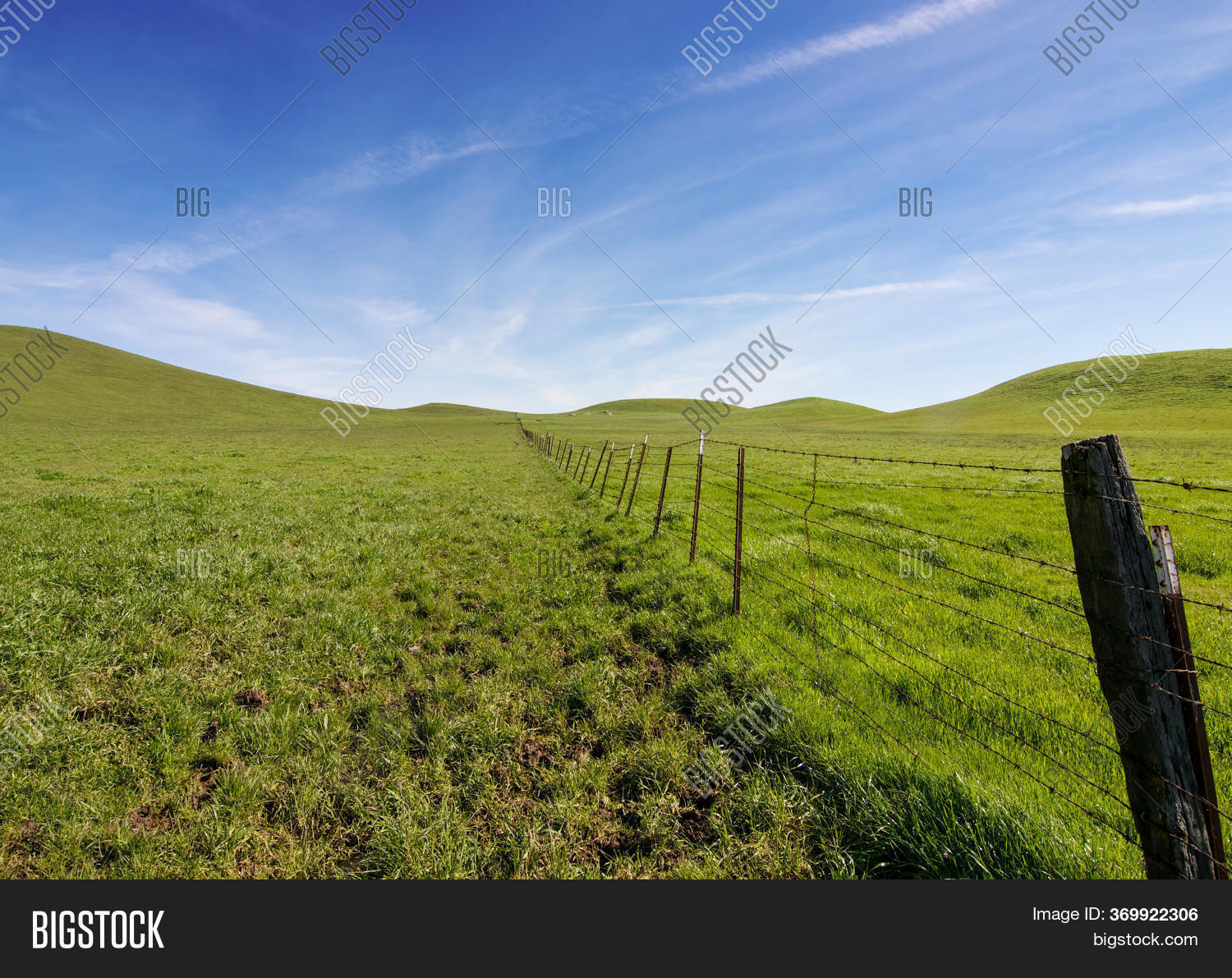 Panoramic View Pasture Image & Photo (Free Trial) | Bigstock