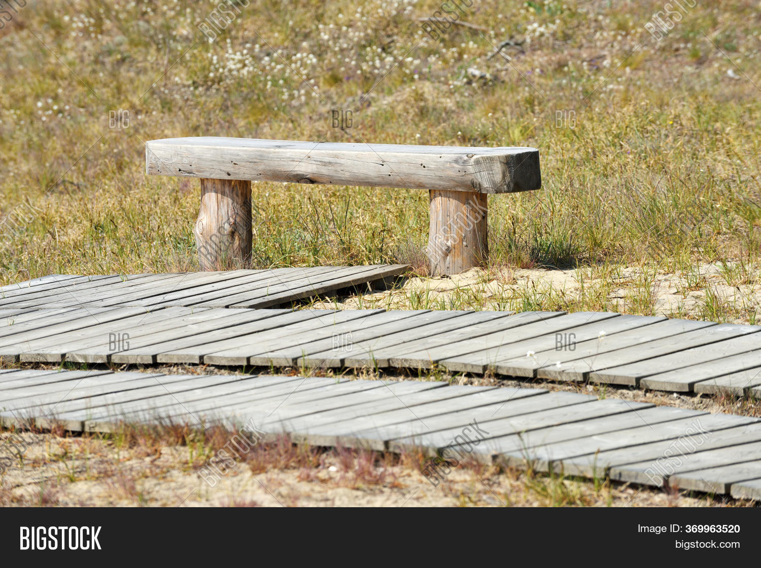 Wooden Bench Path Image & Photo (Free Trial) | Bigstock