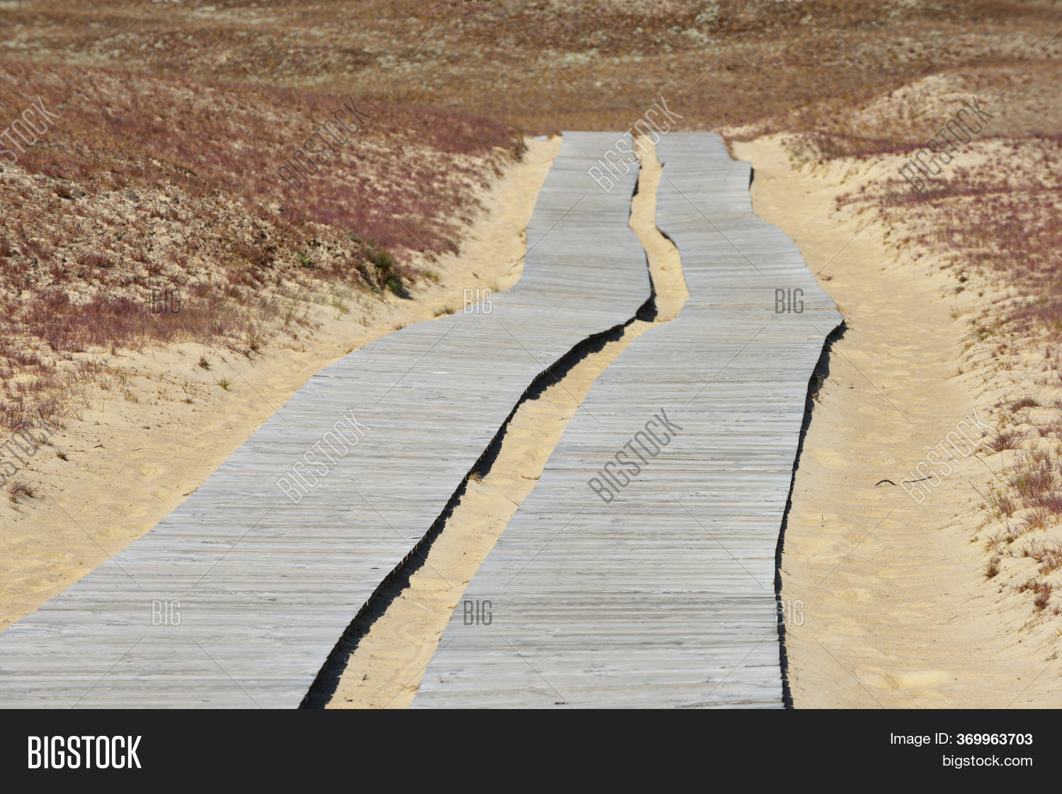 Wooden Path Leading Image & Photo (Free Trial) | Bigstock