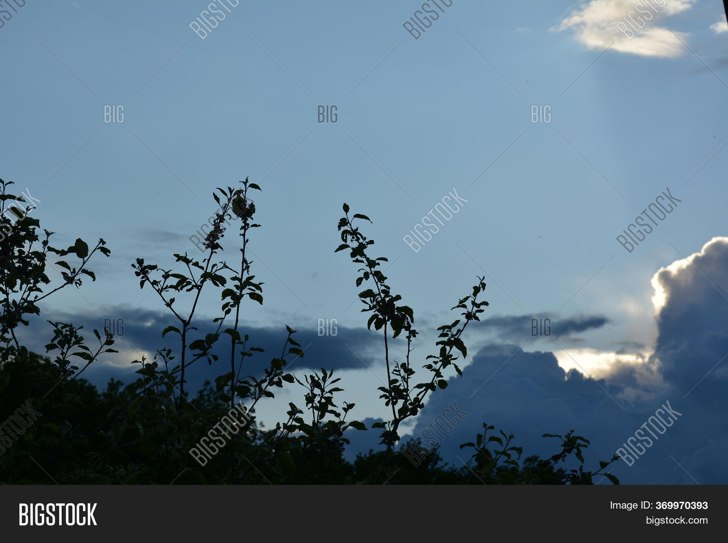 Curly Thick Clouds Image & Photo (Free Trial) | Bigstock