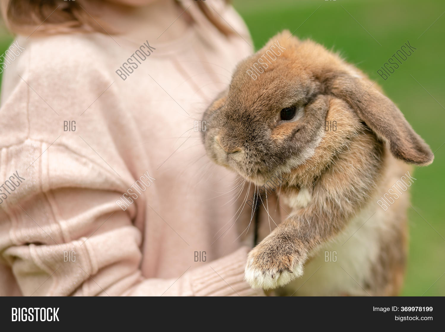 Cute Red Haired Image & Photo (Free Trial) | Bigstock
