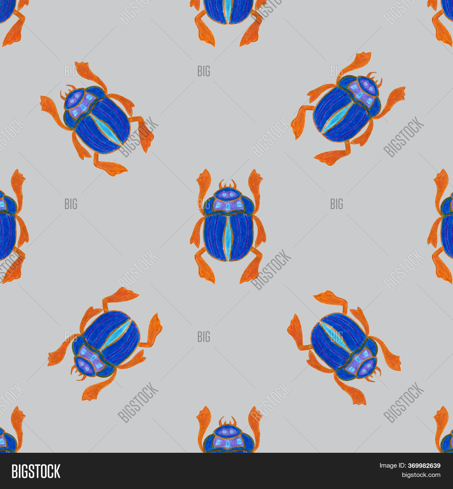 Blue Scarab Isolated Image & Photo (Free Trial) | Bigstock