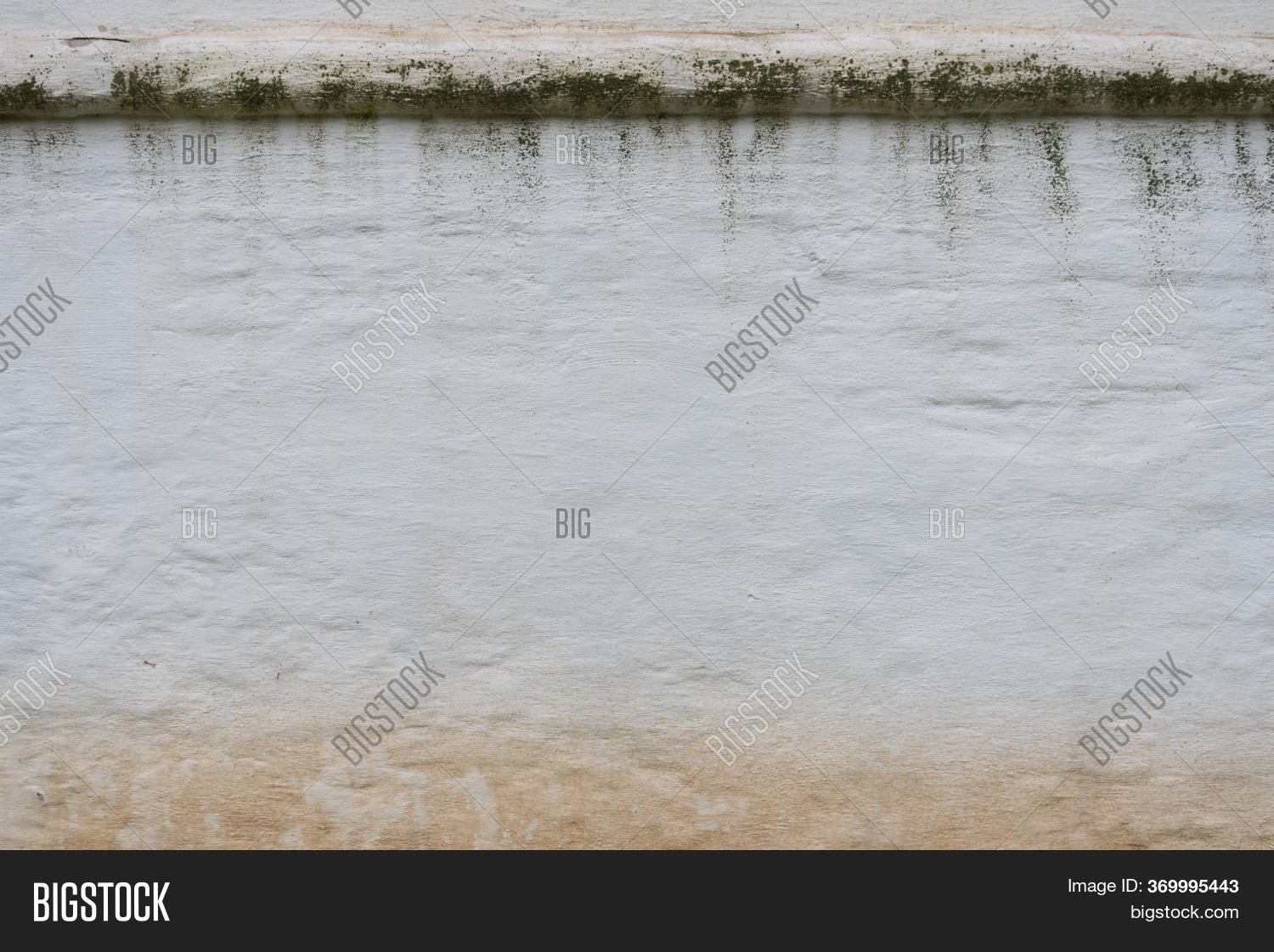 Old White Wall, Mold Image & Photo (Free Trial) | Bigstock