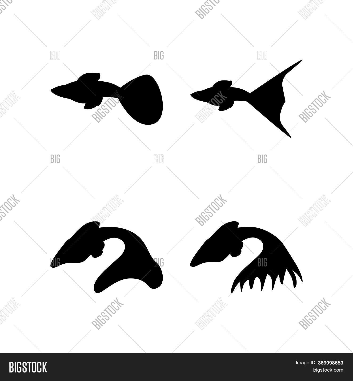 Guppy Fish Set Vector & Photo (Free Trial) | Bigstock