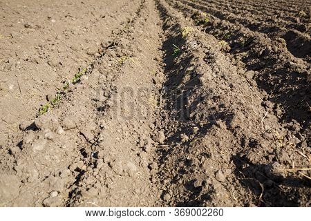 Loose Soil Before Image & Photo (Free Trial) | Bigstock