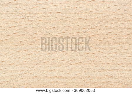 Beech Wood Texture. Image & Photo (Free Trial) | Bigstock
