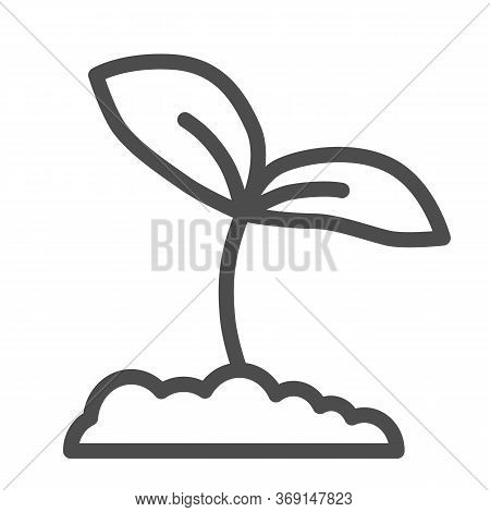 Plant Sprouting Vector & Photo (Free Trial) | Bigstock