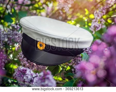 Swedish Graduation Cap Image & Photo (Free Trial) | Bigstock