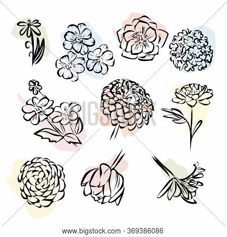 Contour Flowers Set Vector & Photo (Free Trial) | Bigstock