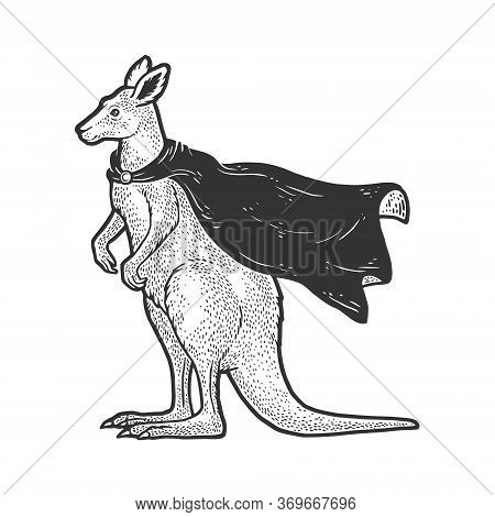 Kangaroo Superhero Vector & Photo (Free Trial) | Bigstock