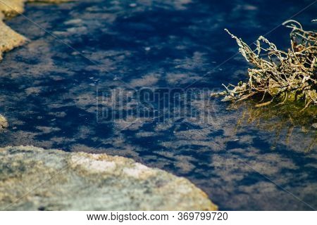 Limassol Cyprus June Image & Photo (Free Trial) | Bigstock