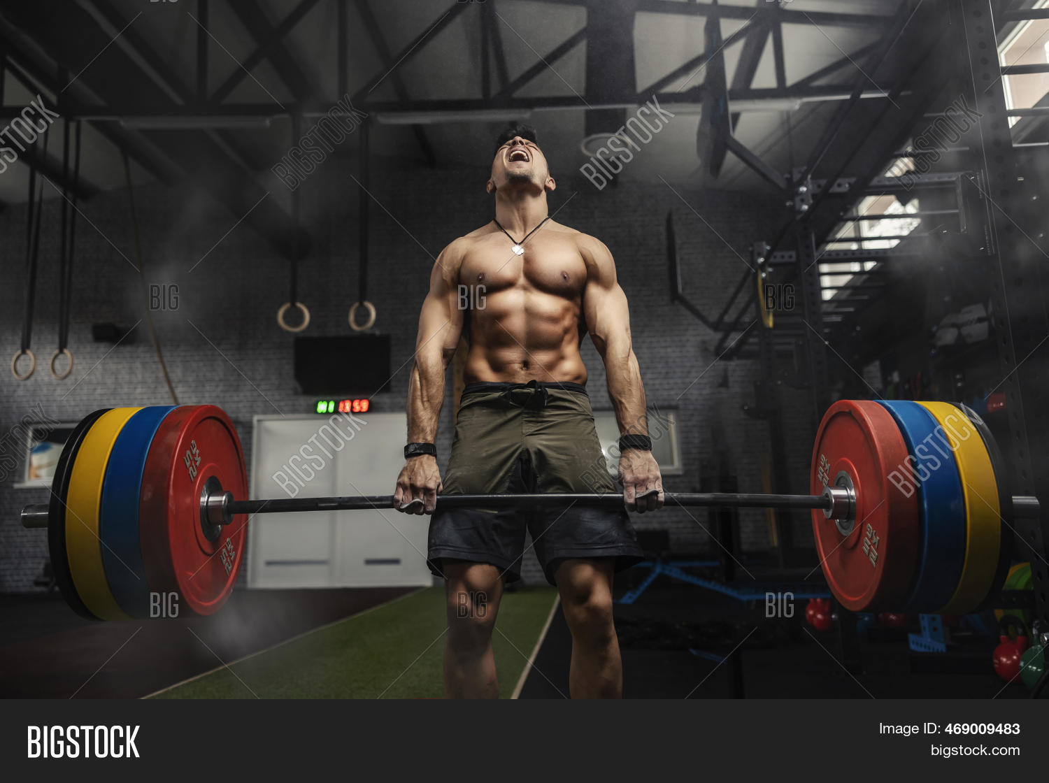 Weightlifter Gym, Image & Photo (Free Trial) | Bigstock