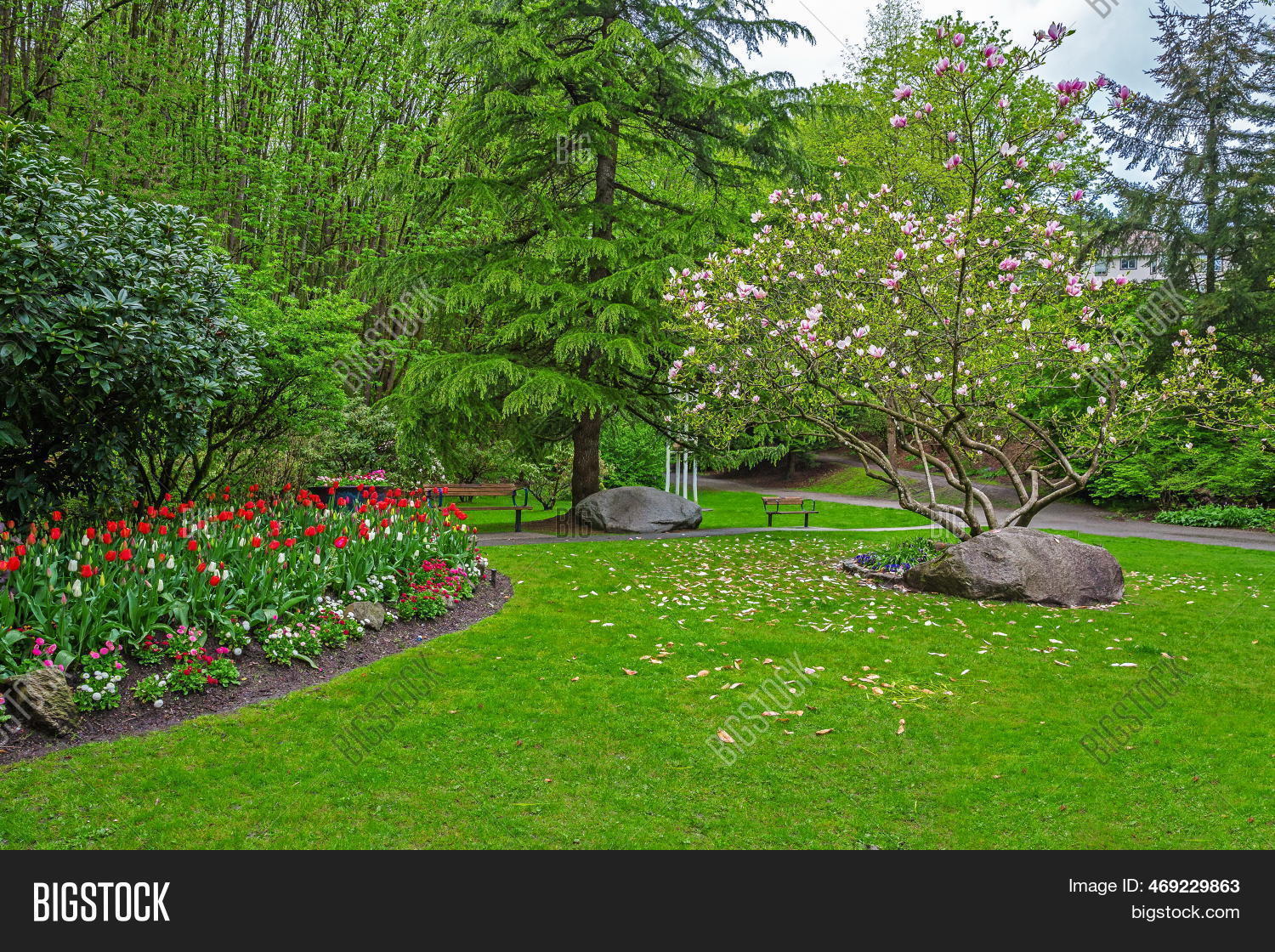 Soring. Resting Place Image & Photo (Free Trial) | Bigstock