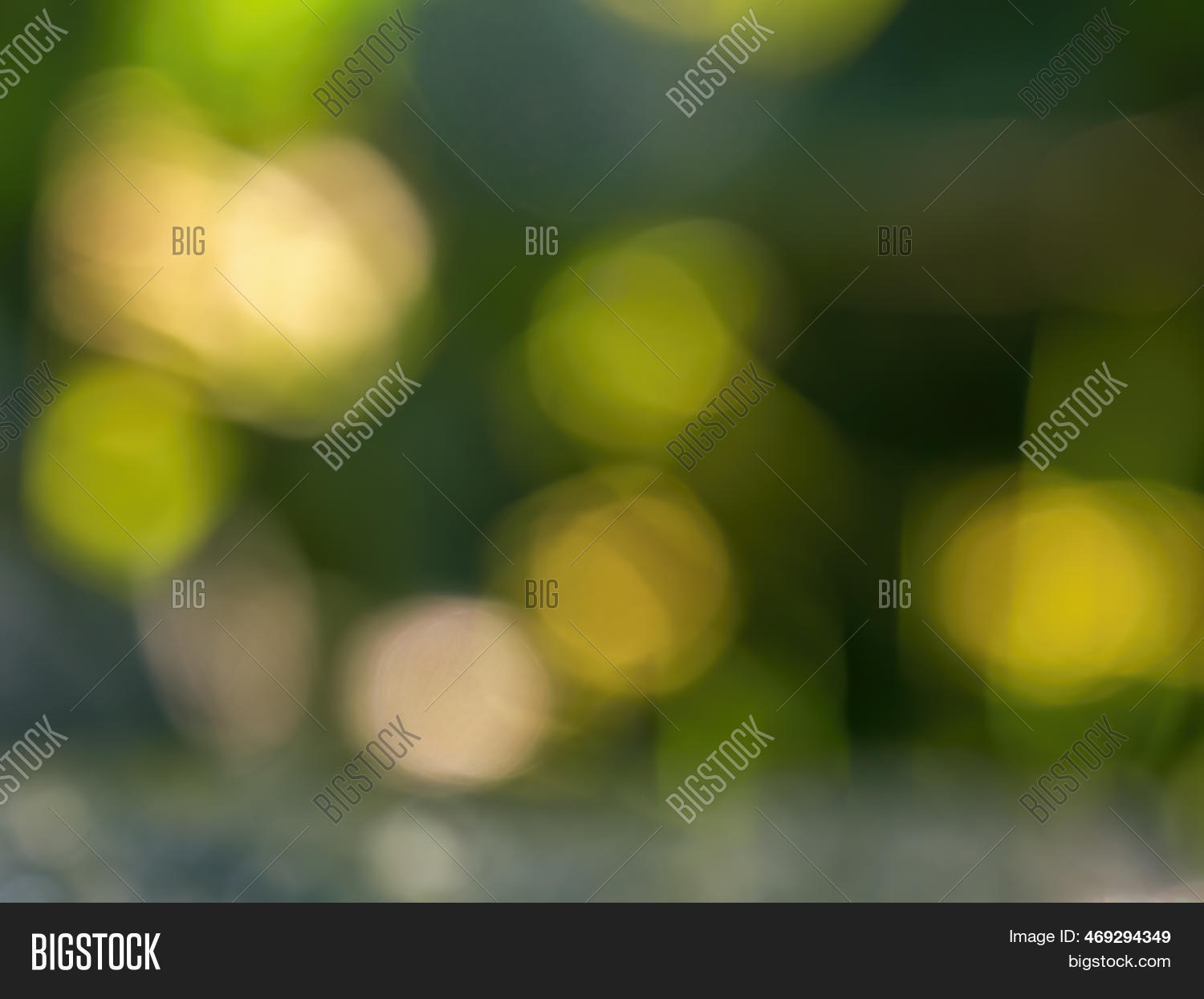 Unfocused Photography