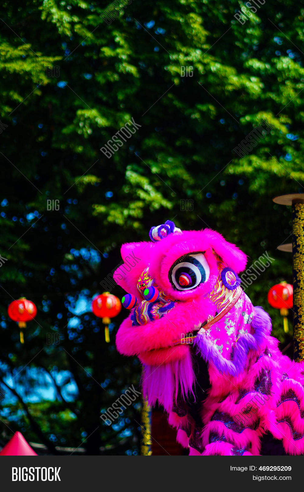 Lion Dance Barongsai Image & Photo (Free Trial) | Bigstock
