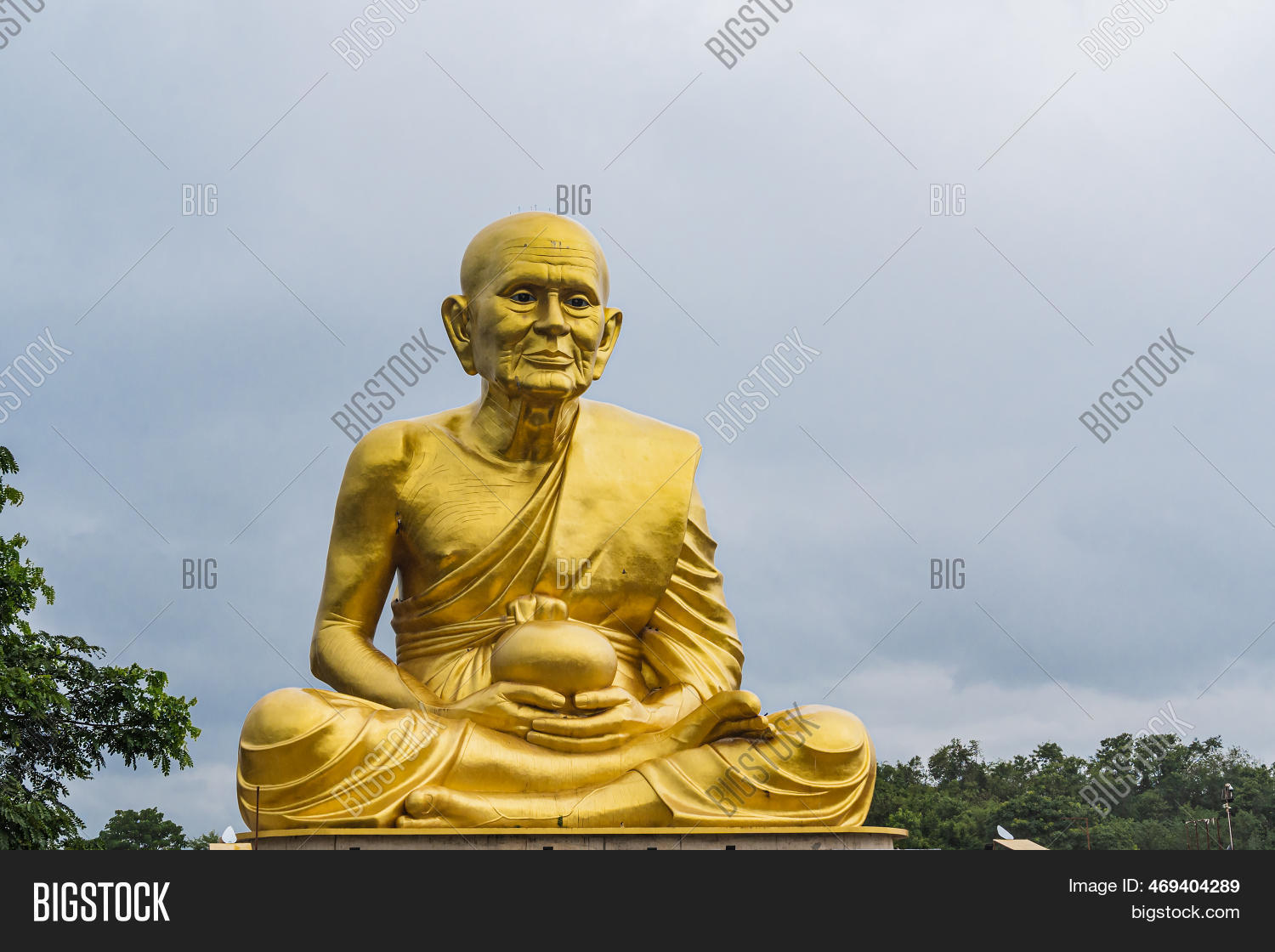 Biggest Golden Luang Image & Photo (Free Trial) | Bigstock