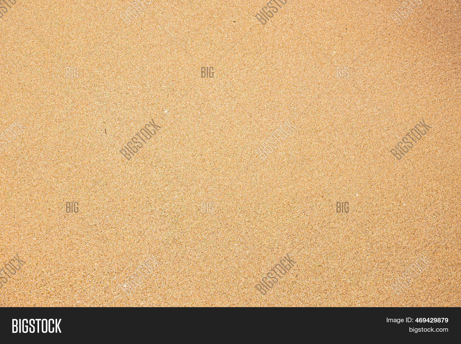 Close Beach Sand Image & Photo (Free Trial) | Bigstock