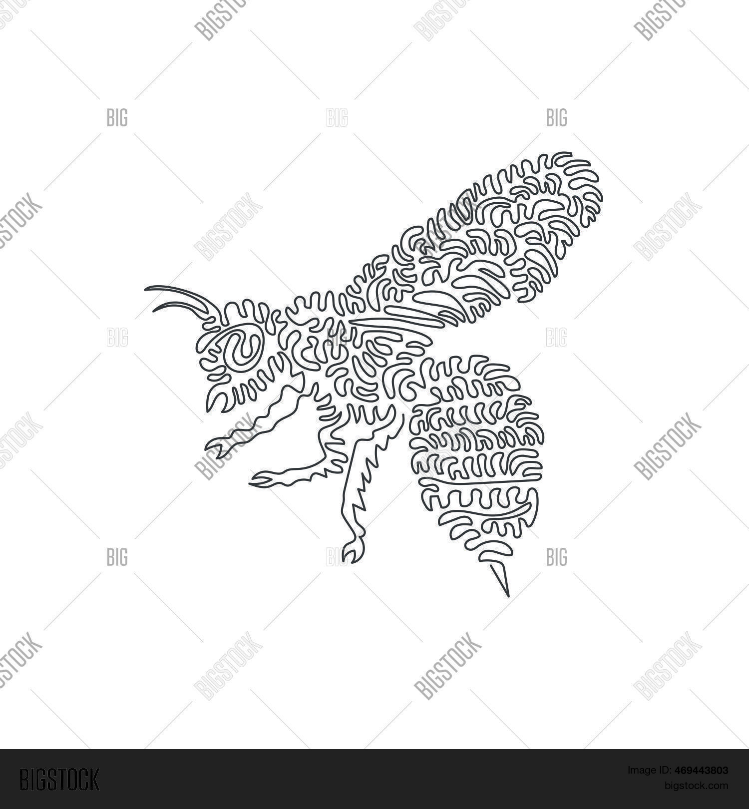 Single One Line Vector & Photo (Free Trial) | Bigstock