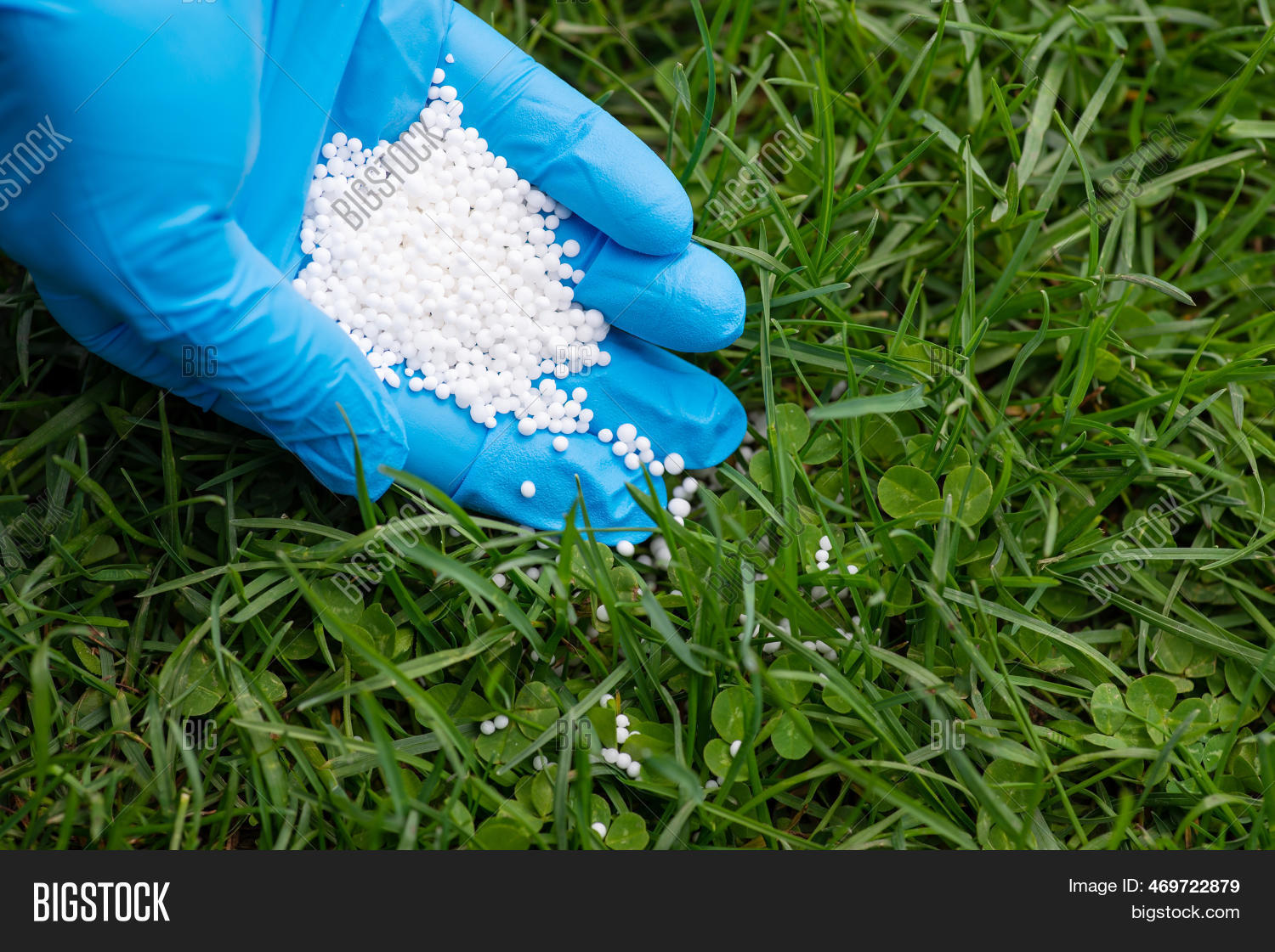 Fertilizing Lawn Image & Photo (Free Trial) | Bigstock